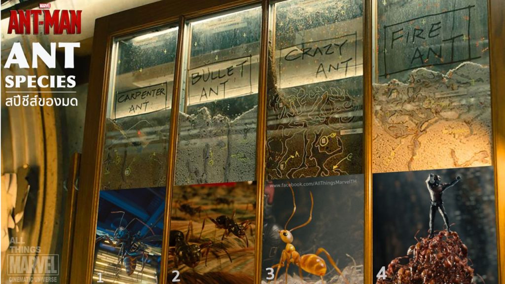 WiTcast Special – “วิทยาศาสตร์ของ Ant-Man” จัดสดที่มหาวิทยาลัยบางมด – WiTcast