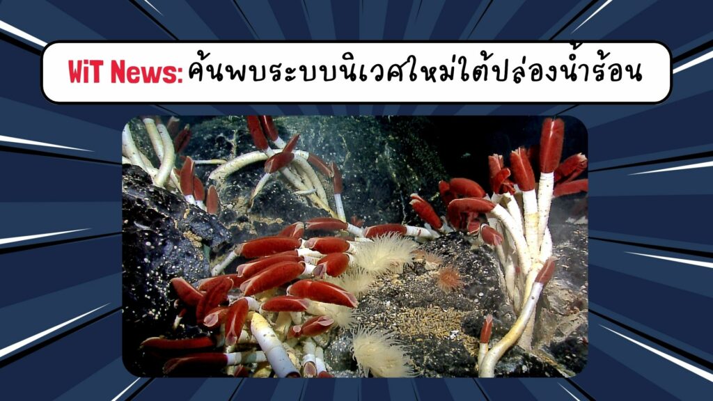 WiTcast 130 – WiTcast