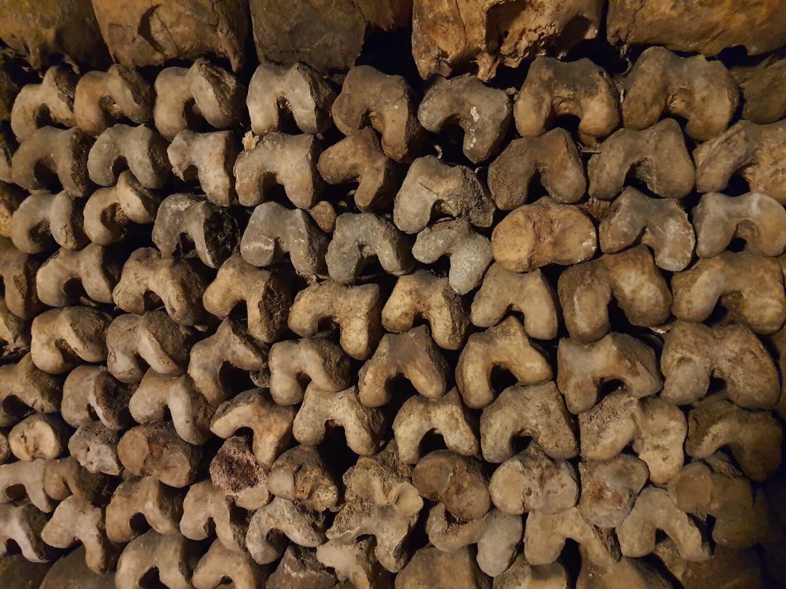 WiT Drive 23 – พี่หมีกับอาบันไปเยือนฝรั่งเศส – WiTcast